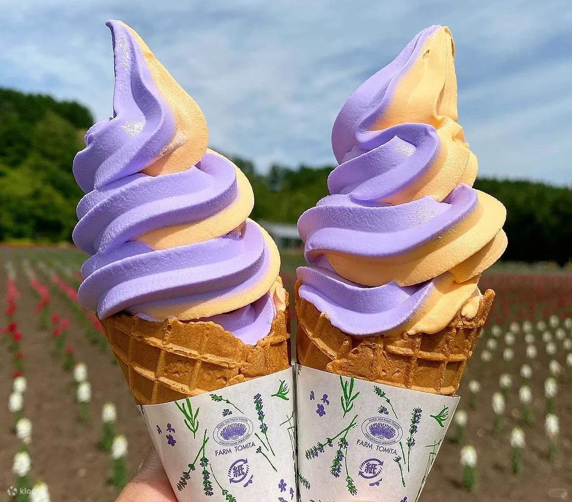 Hokkaido｜Biei Furano & Farm Tomita & Shikisai-no-Oka Day Tour｜Depart ...